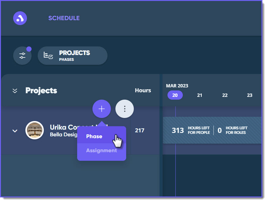 Adding a New Phase to a Project